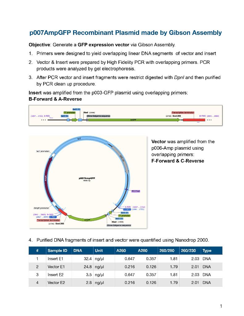 Solved Using the information of your designated | Chegg.com