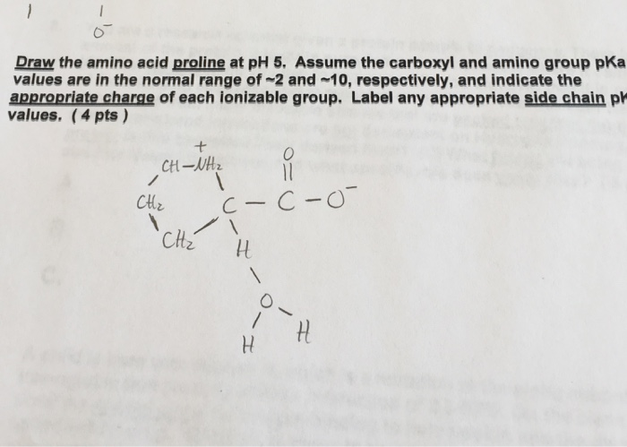 Solved Draw the amino acid proline at pH 5, Assume the | Chegg.com