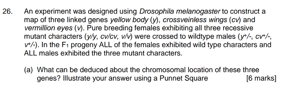 Solved An experiment was designed using Drosophila | Chegg.com