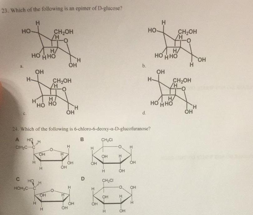 Solved 23. Which of the following is an epimer of D-glucose? | Chegg.com