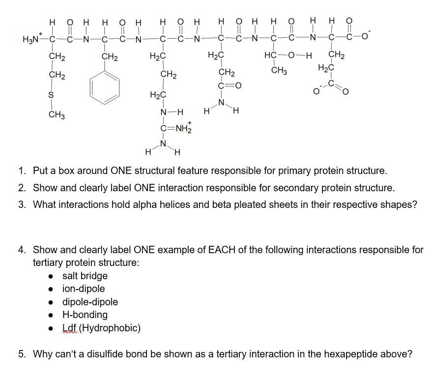 Solved Η Ο Η Η Ο Η Η Ο Η H OHH OHH O 1 II II } 11 H3N-6-6-N | Chegg.com
