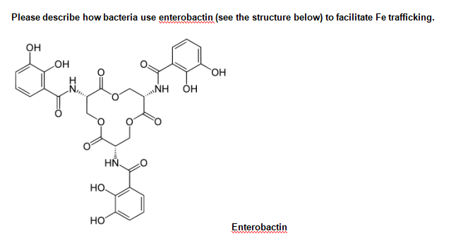 Solved Please describe how bacteria use enterobactin (see | Chegg.com