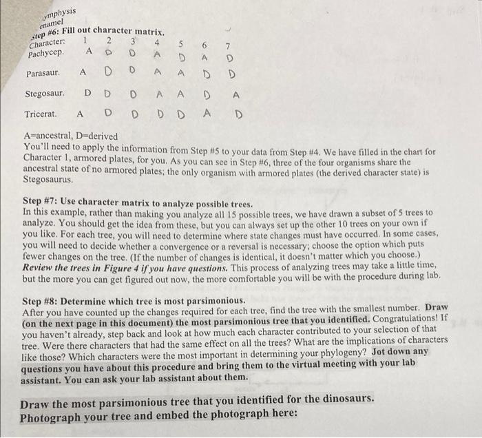 Solved Phylogeny Construction Pre-Lab Assignment This | Chegg.com
