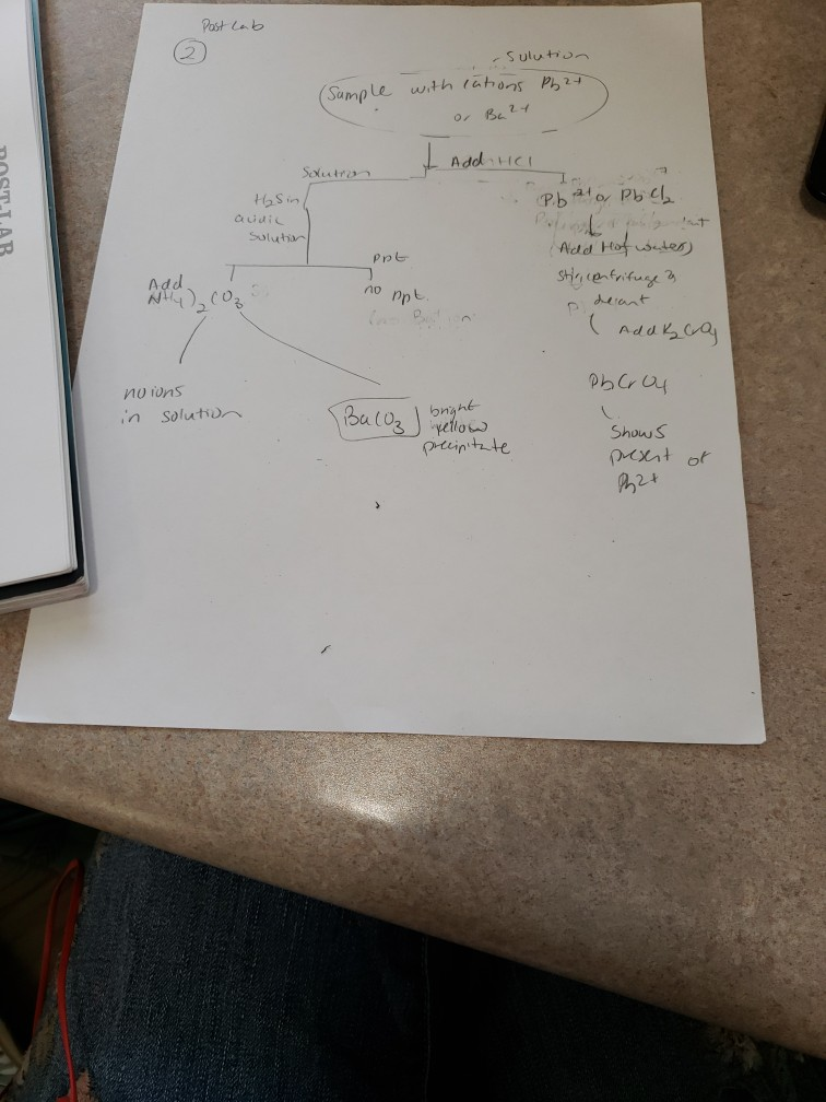 Solved QUALITATIVE ANALYSIS OF CATIONS EXPERIMENT 10 | Chegg.com