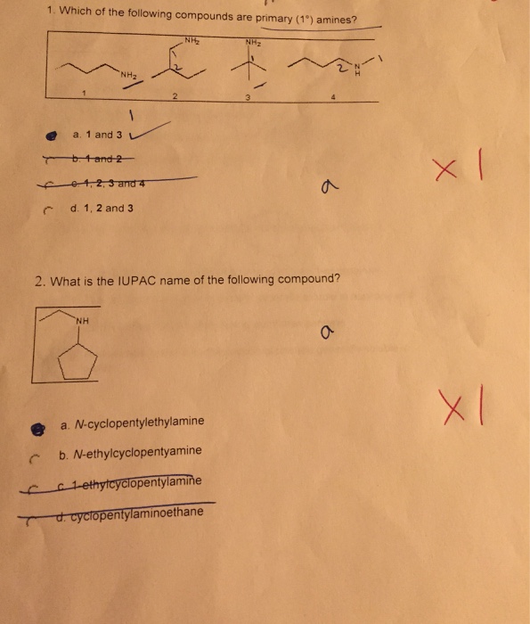 Solved 1. Which of the following compounds are primary (1) | Chegg.com