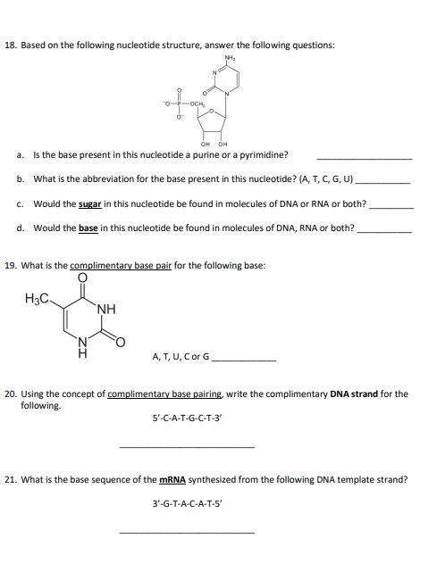 Solved 18. Based on the following nucleotide structure, | Chegg.com