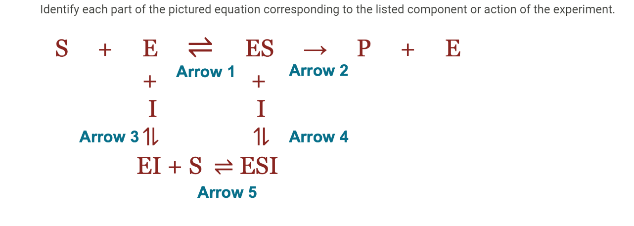 Solved Identify each part of the pictured equation | Chegg.com