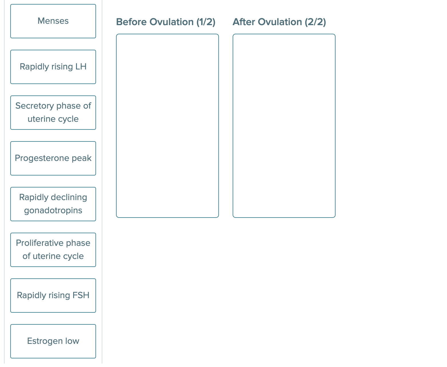 Solved Drag each of the terms or statements in the proper | Chegg.com