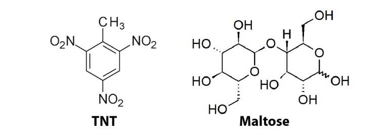 Solved Developing a new biosensor! For your undergrad | Chegg.com