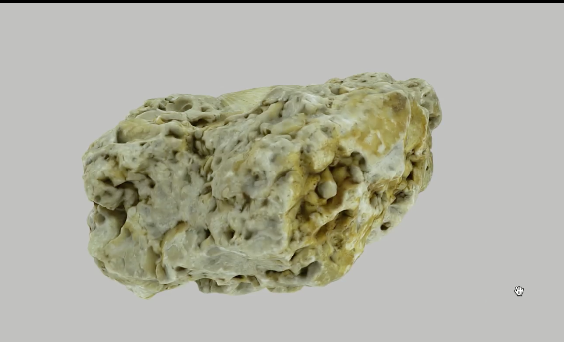 Peat Sedimentary Rock