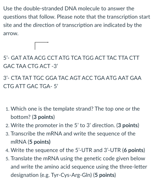 Solved Second letter Key: U G UGU Phe UGC Cys UUU UUC UUA | Chegg.com