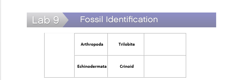 Solved Lab 9 Fossil Identification Pre-Lab Questions 1. | Chegg.com