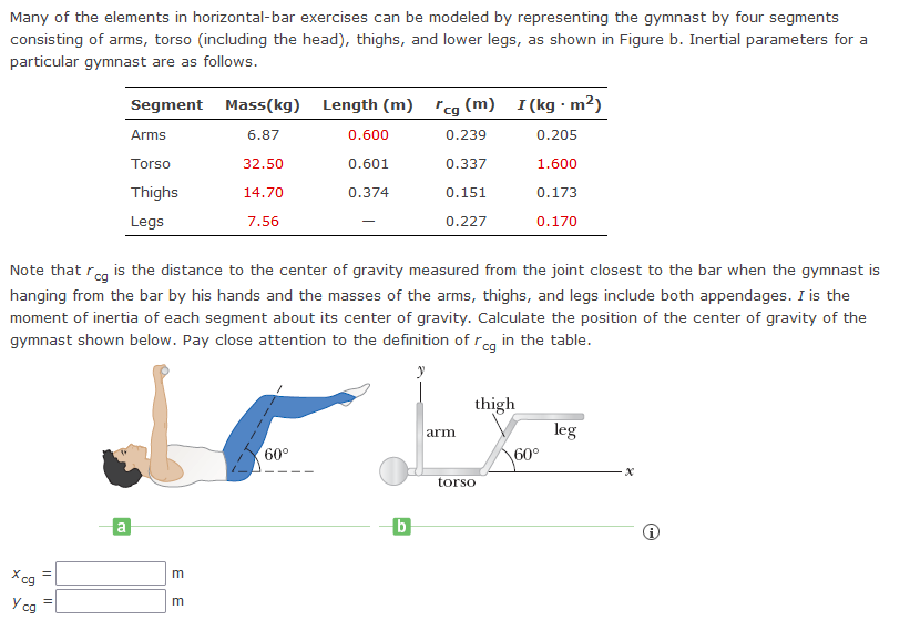 Solved Many of the elements in horizontal-bar exercises can | Chegg.com