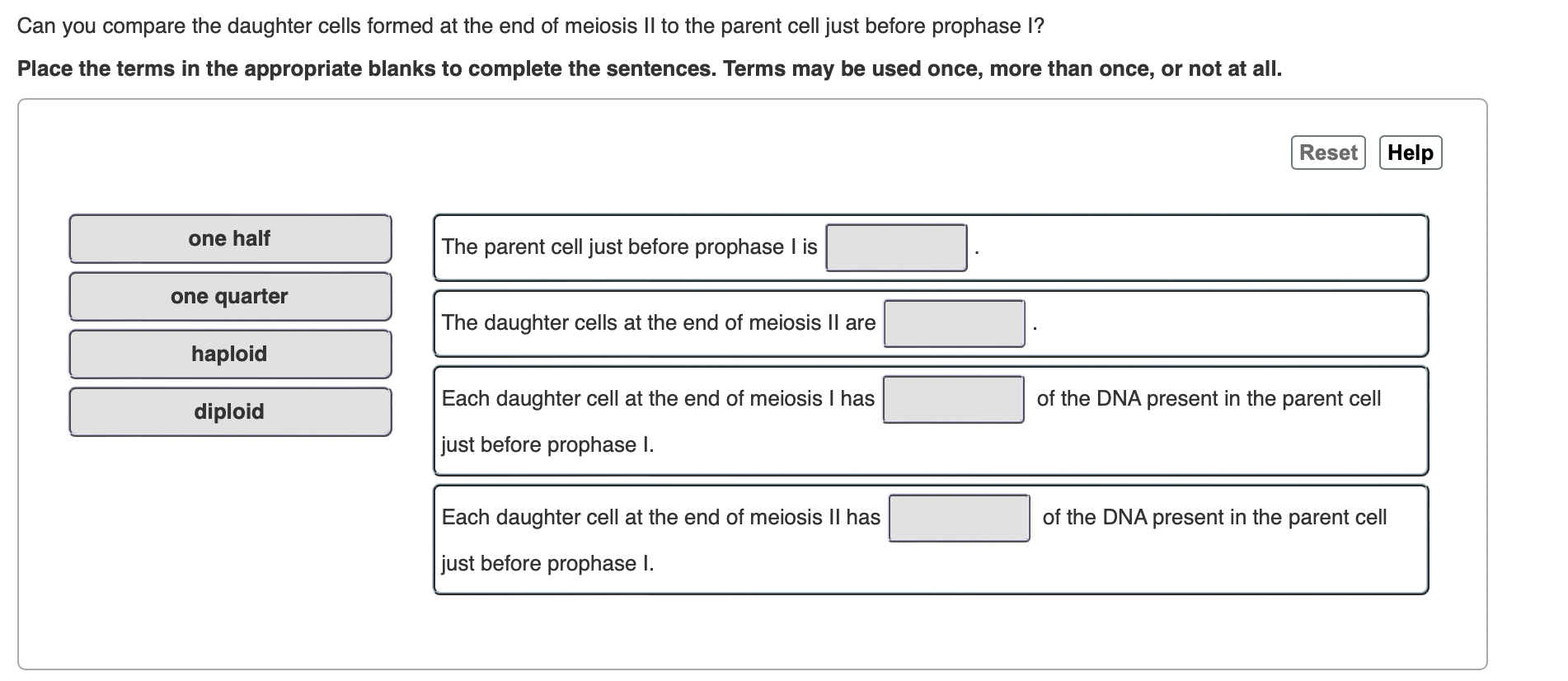 Solved Can you compare the daughter cells formed at the end | Chegg.com