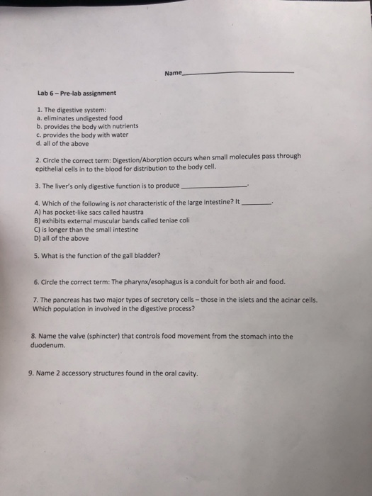 Solved Name Lab 6-Pre-lab assignment 1. The digestive | Chegg.com