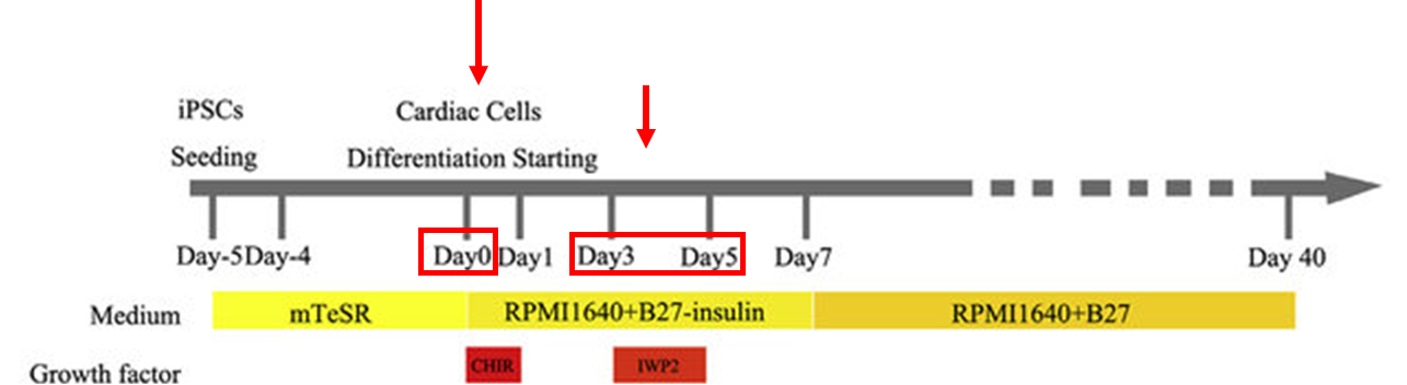 Solved Use the following information to answer the next two | Chegg.com
