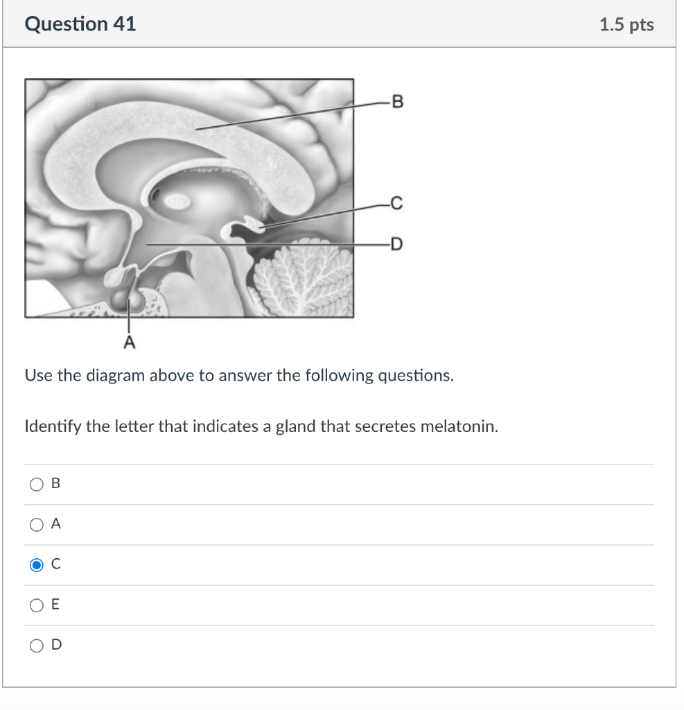 Solved Question 41 1.5 pts B А Use the diagram above to | Chegg.com