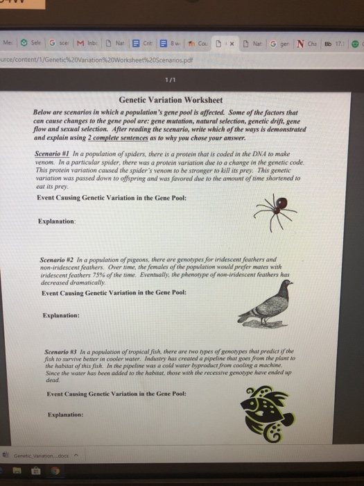 Solved urce/content/ 1 | Chegg.com