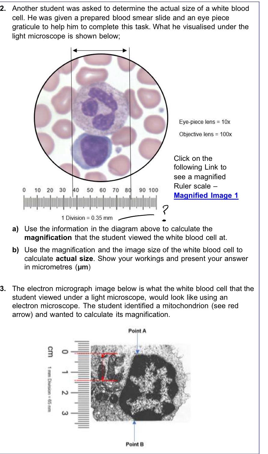 Solved 2. Another student was asked to determine the actual | Chegg.com