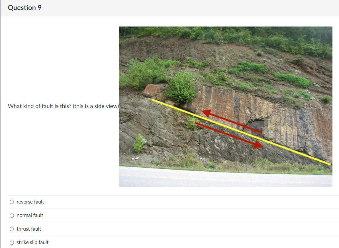 Solved Question 4 Folds form in areas undergoing tension. O | Chegg.com