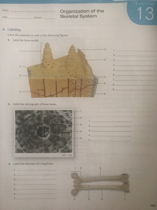 Solved Review &Practice Sheet xercise H. Application and | Chegg.com