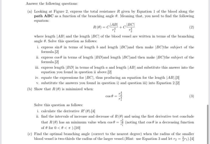Solved 1. BRANCHING BLOOD VESSELS (29) Figure 1: A Picture | Chegg.com