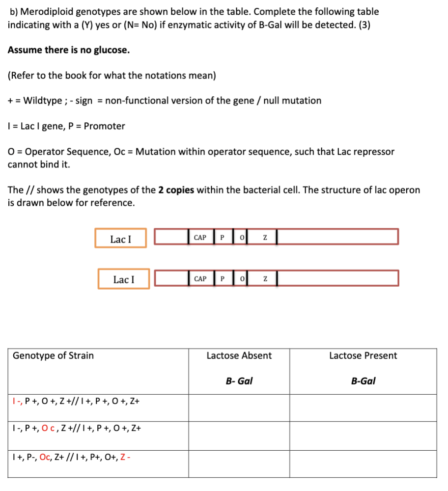 Solved The logic of the Lac operon was deciphered by using | Chegg.com