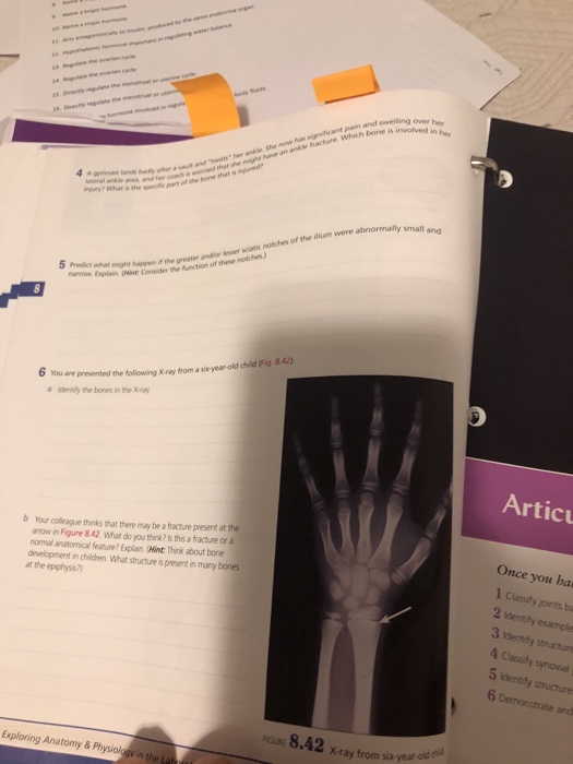 Solved Name Section NIT Check Your Recall REVIE W 1 Label | Chegg.com