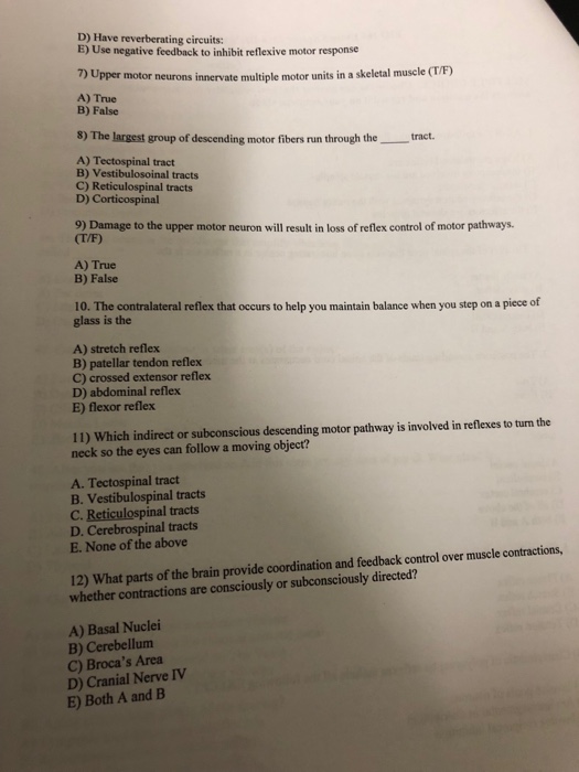 Solved D) Have reverberating circuits: E) Use negative | Chegg.com