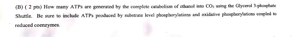 Solved (B) ( 2 pts) How many ATPs are generated by the | Chegg.com