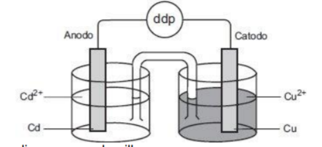 Solved Anodo = Anode, Catodo = Cathode Answer: a) The | Chegg.com