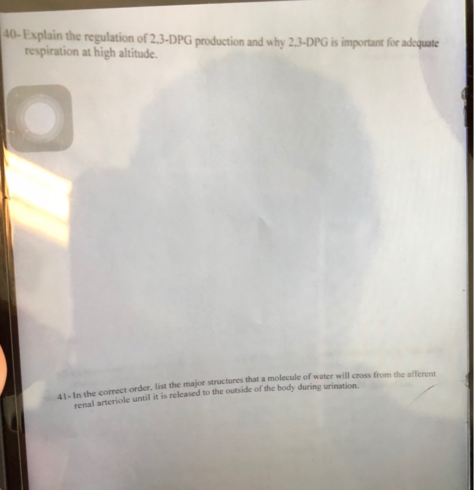 Solved 40-Explain the regulation of 23-DPG production and | Chegg.com