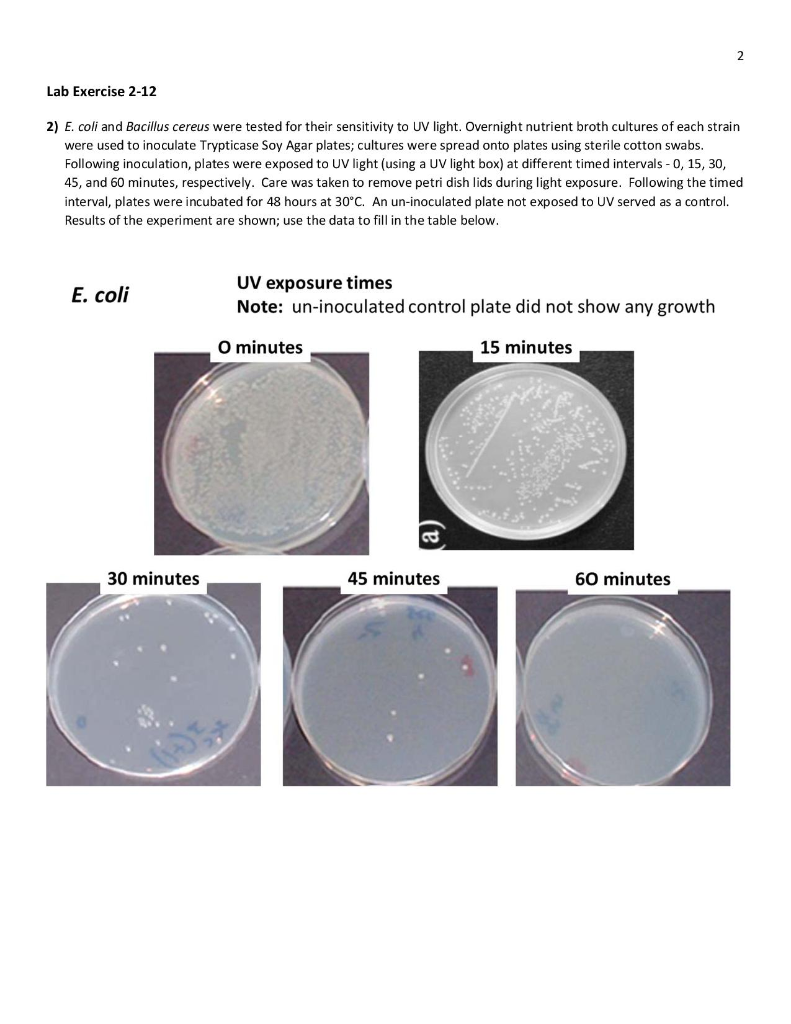 Solved Name TA/Lab Period: Lab 9 Handout: Lab Exercises 2=6 | Chegg.com