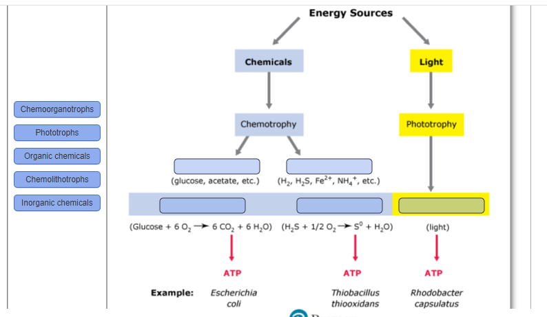 Solved a) Correctly identify and label the types of | Chegg.com