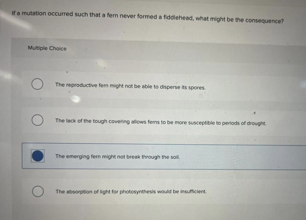 Solved If a mutation occurred such that a fern never formed | Chegg.com