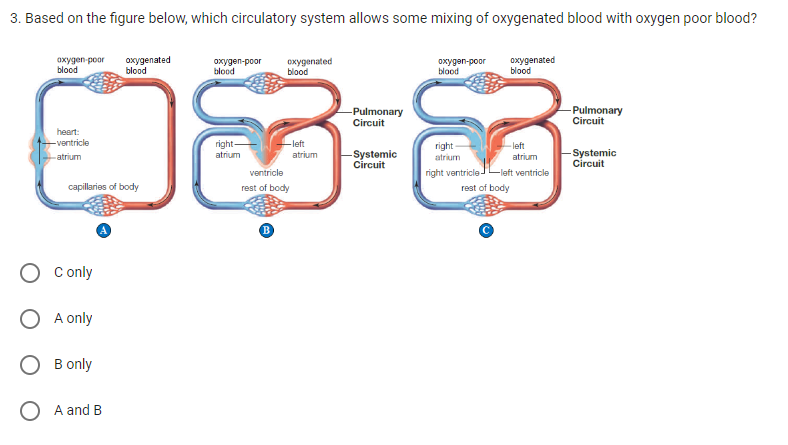 Solved Based on the figure below, which circulatory system | Chegg.com