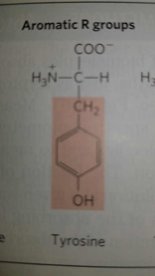 Solved Ila Draw the titration curve for tyrosine serving as | Chegg.com