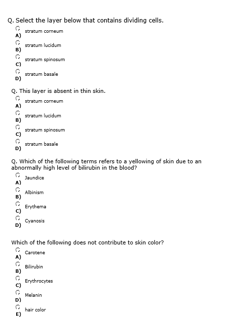 Solved Q. Select the layer below that contains dividing | Chegg.com