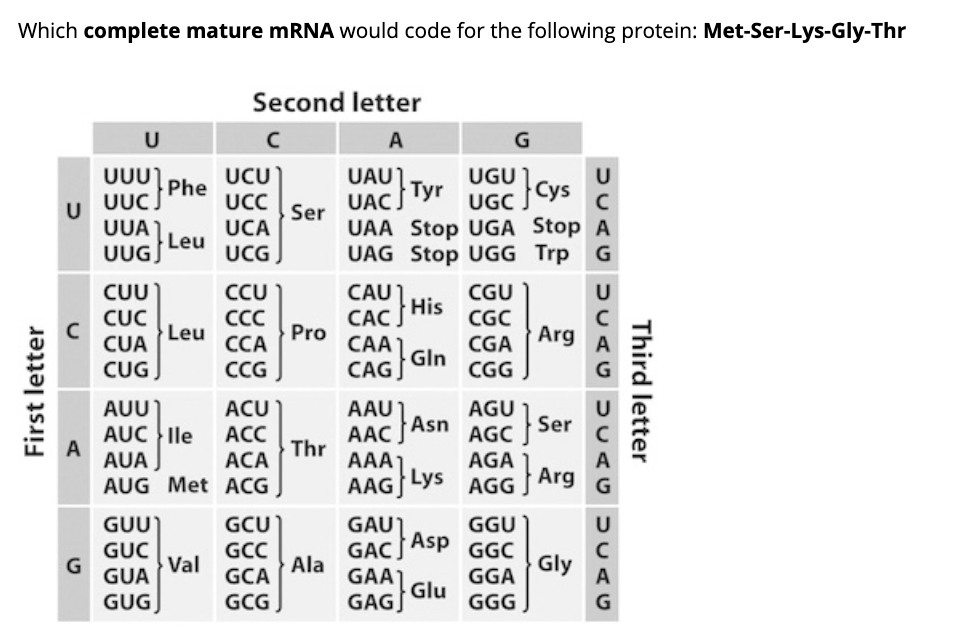 Solved The following tRNA anticodons were lined up in this | Chegg.com