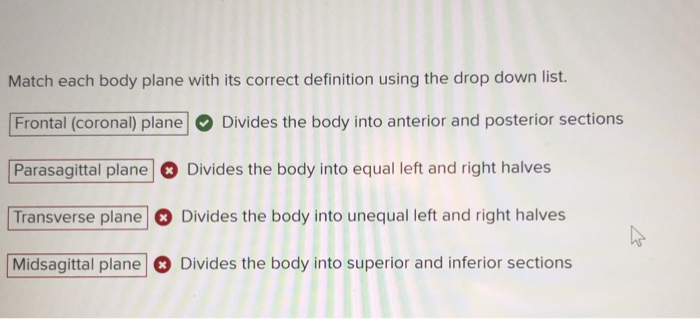 Solved Match the directional term to its correct definition | Chegg.com