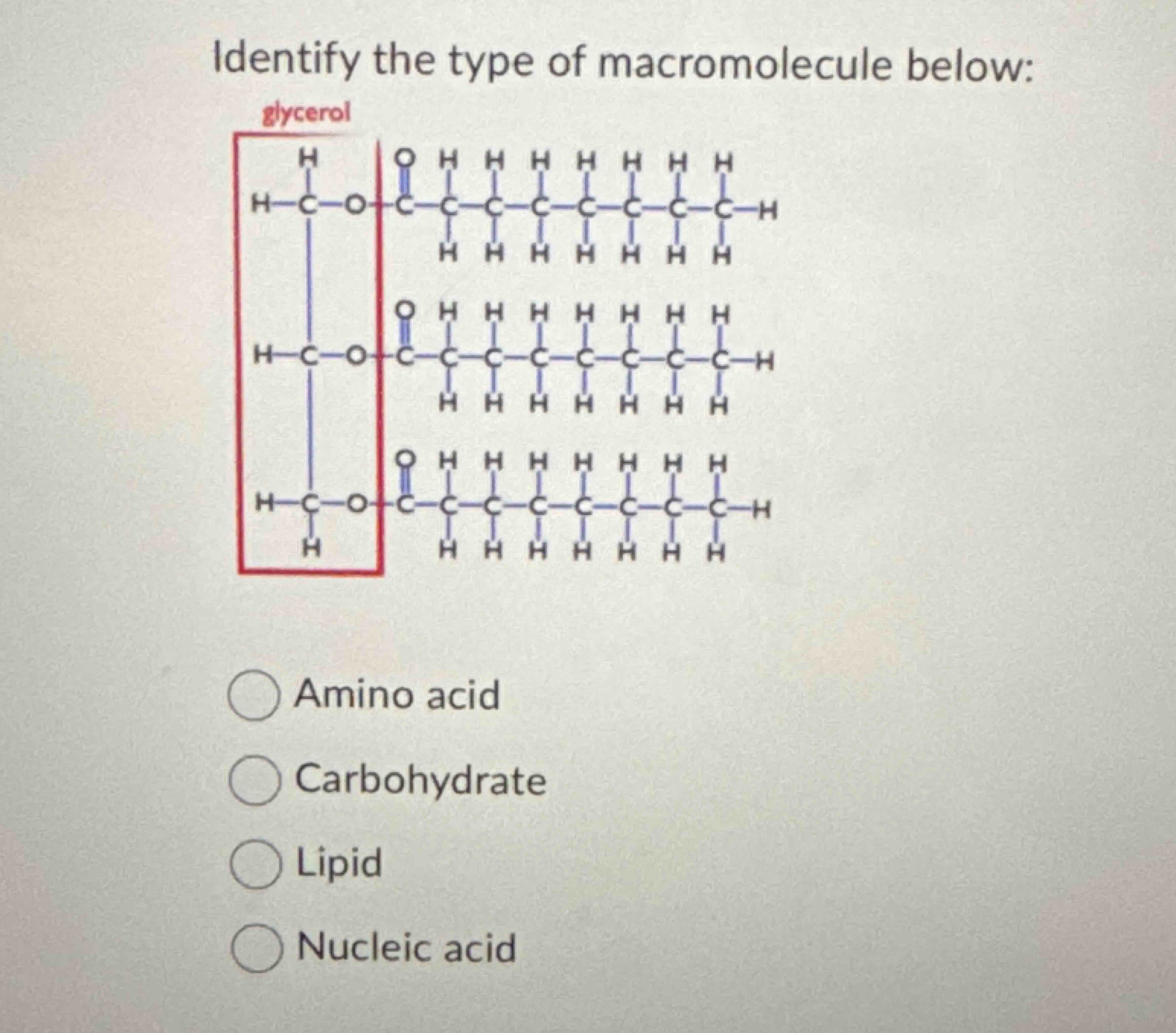 Solved Identify the type of macromolecule below:Amino | Chegg.com
