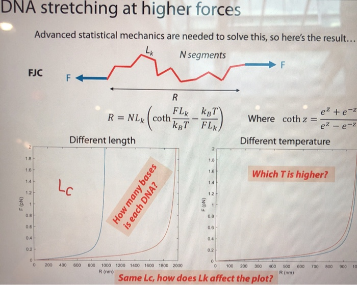 DNA stretching at higher forces Advanced statistical | Chegg.com