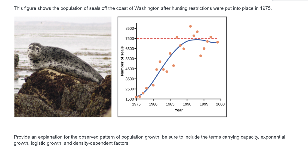 Solved This figure shows the population of seals off the | Chegg.com