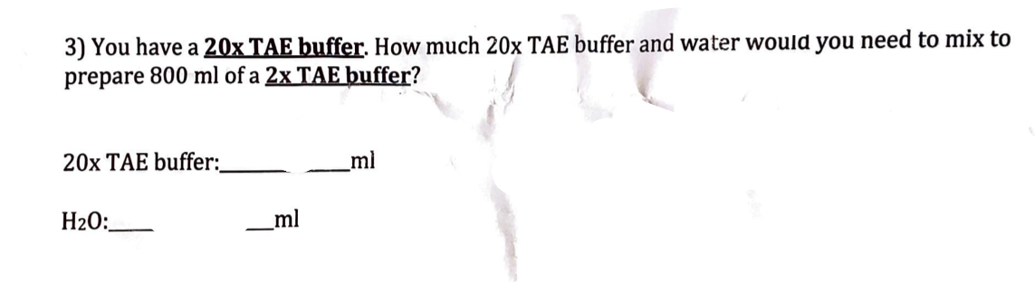 Solved 1) How many μl of a 10X Loading buffer you will need | Chegg.com