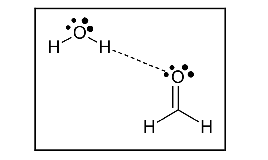 Solved On a page titled Hydrogen Bonding with Water | Chegg.com