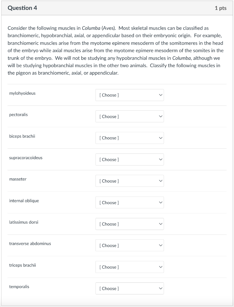 Solved Question 4 1 pts Consider the following muscles in | Chegg.com