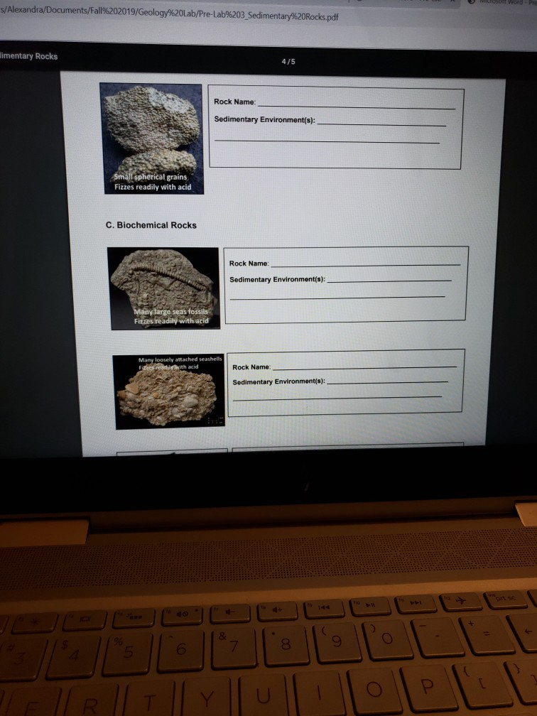 Solved GeorgiaSouthern- Uni x Pre-Lab 3 Sedimentary Ro | Chegg.com