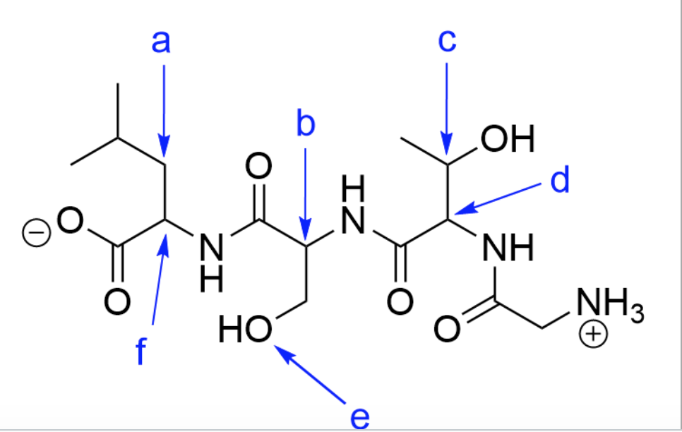 Solved Shown below is the structure of a polypeptide chain. | Chegg.com