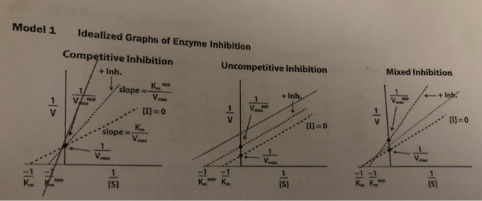 Solved For each situation in Model 1, consider an inhibitor | Chegg.com