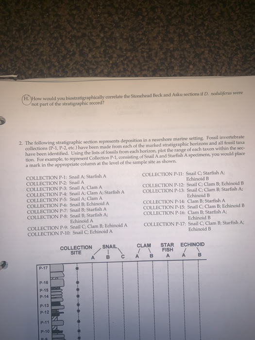 Solved NAME: CTION DATE BIOSTRATIGRAPHY EXERCISES 1. These | Chegg.com